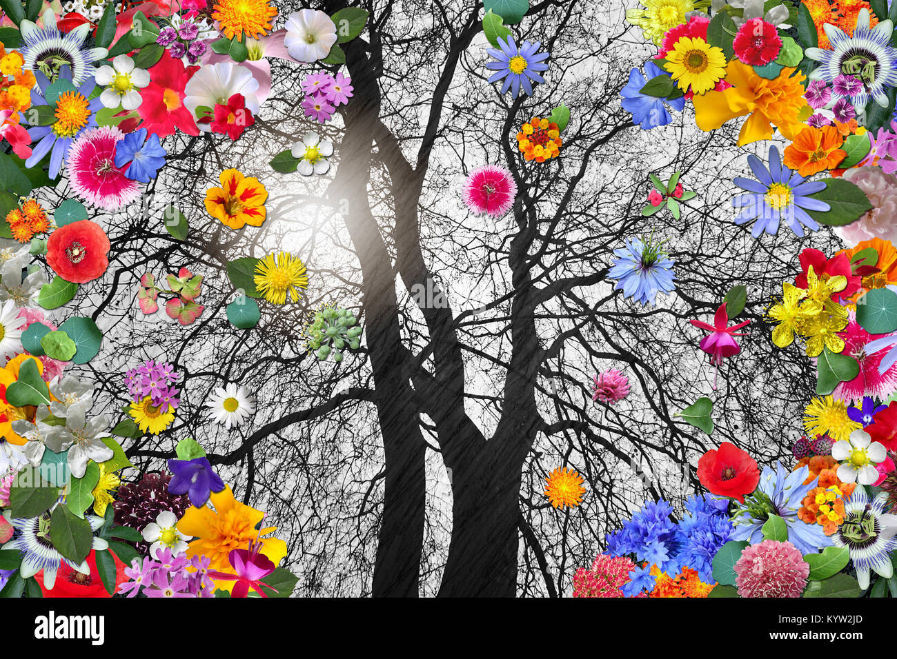 Winter Tree and Colorful Spring Flowers Stock Photo - Alamy