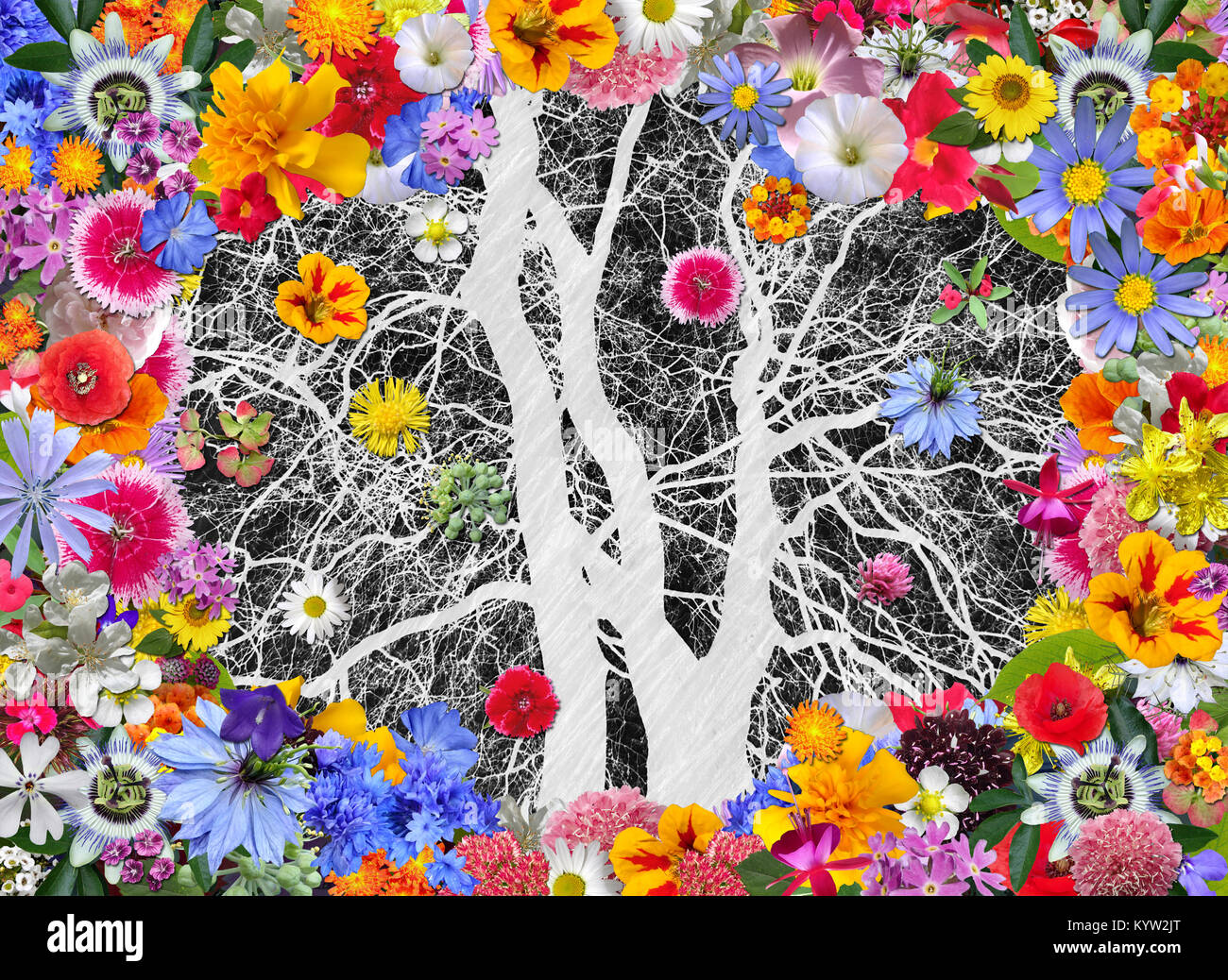 Winter Tree and Colorful Spring Flowers Stock Photo - Alamy