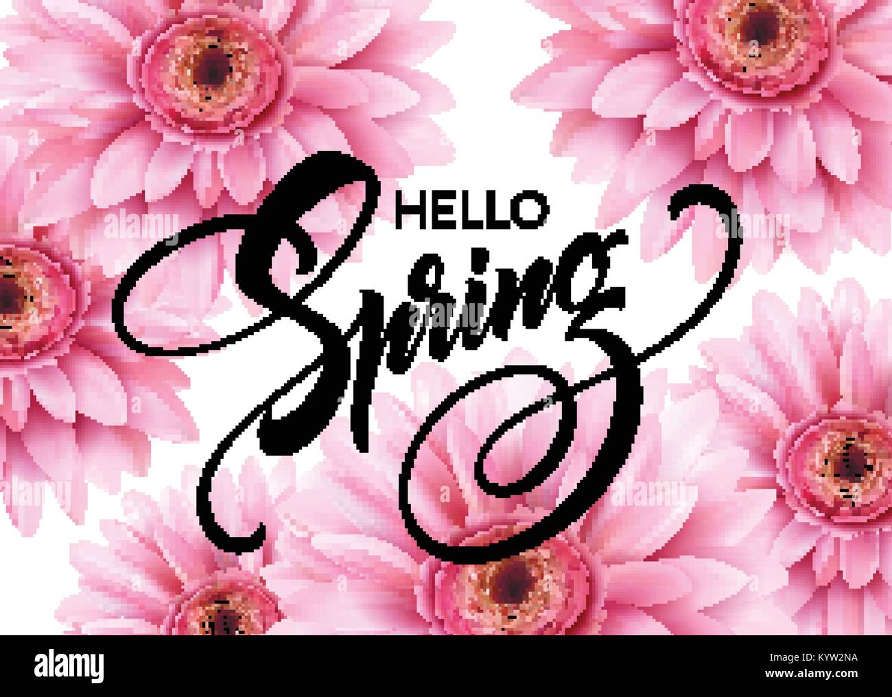 Gerbera Flower Background and Hello Spring Lettering. Vector ...