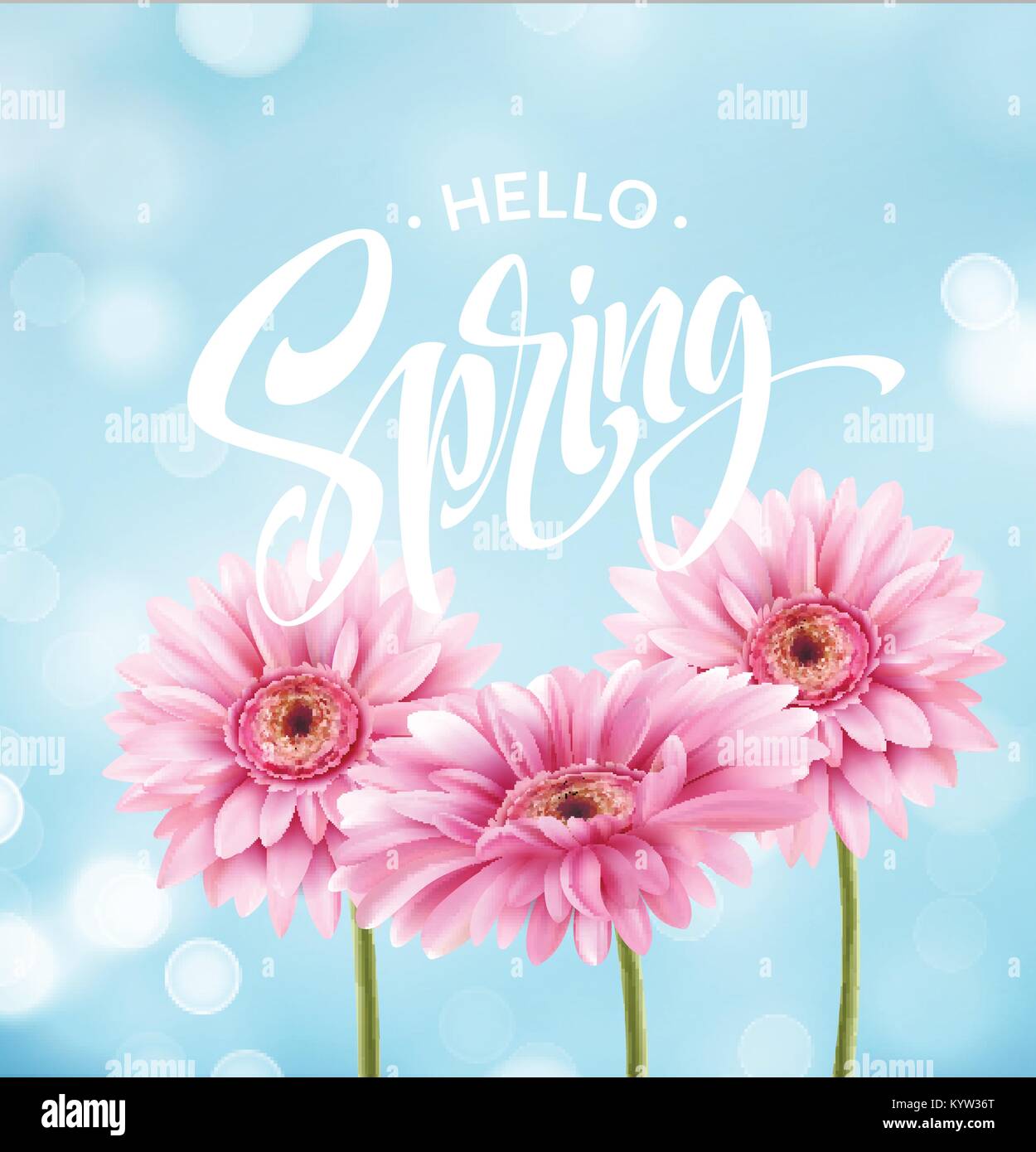 Gerbera Flower Background and Hello Spring Lettering. Vector ...