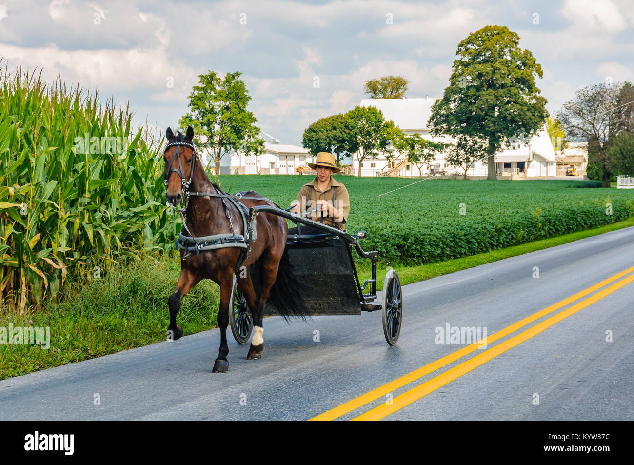 Traveling in open carriage in Amish Country in Pennsylvania, USA Stock ...