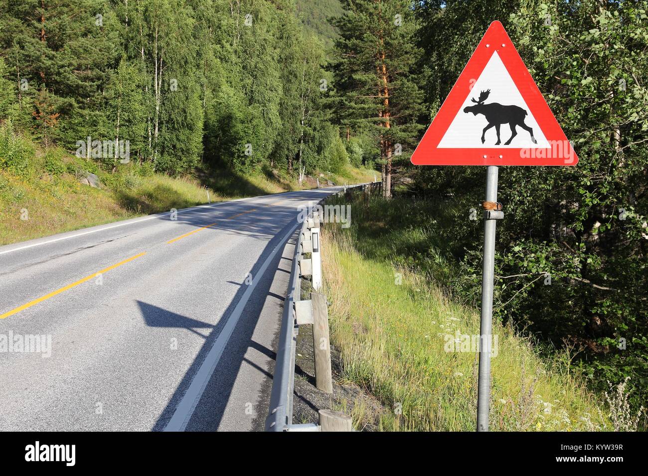 Moose warning sign on international road E6 in Oppland, Norway Stock ...