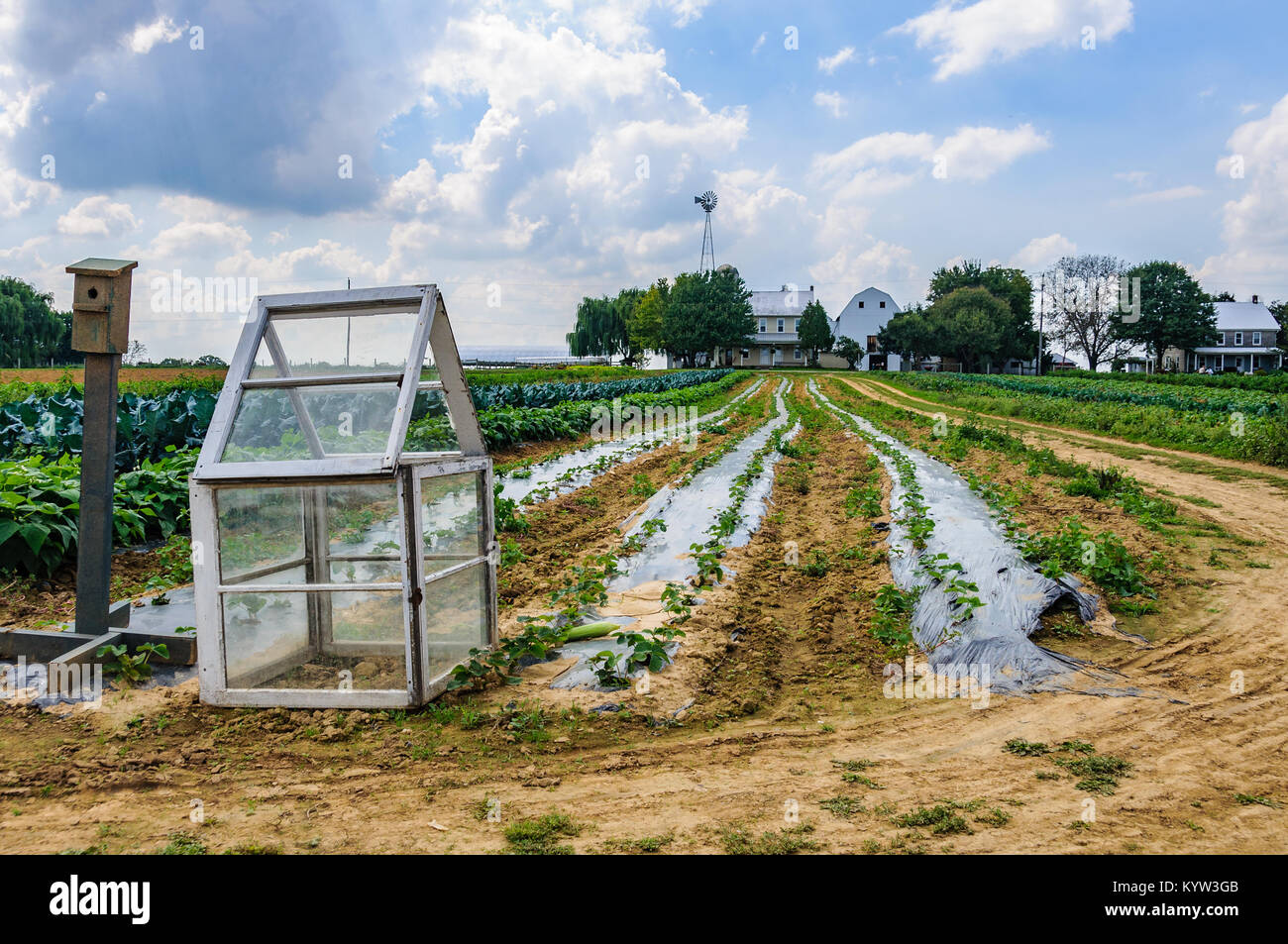 Farm buildings in Amish Country in Pennsylvania, USA Stock Photo - Alamy
