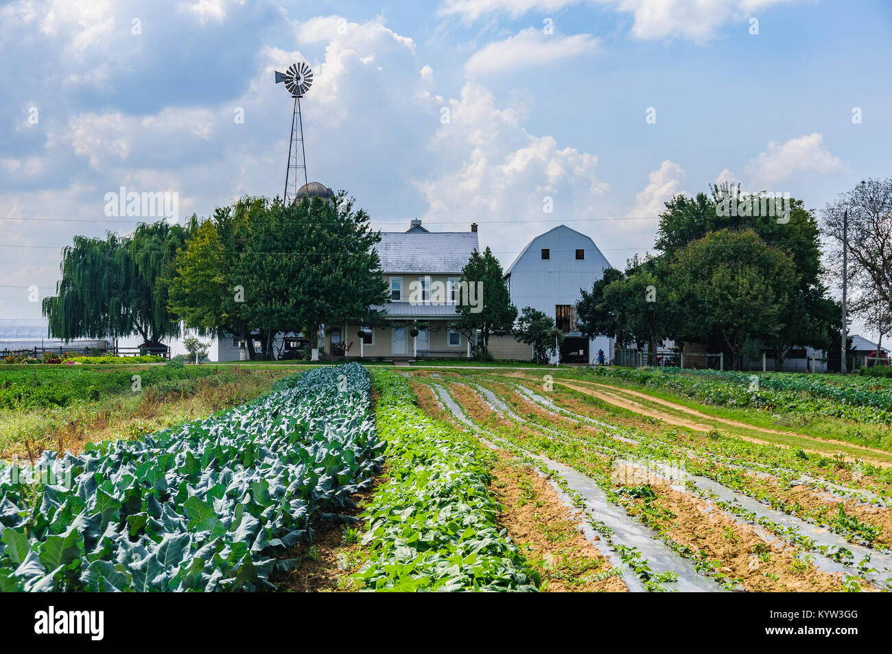 Farm buildings in Amish Country in Pennsylvania, USA Stock Photo - Alamy