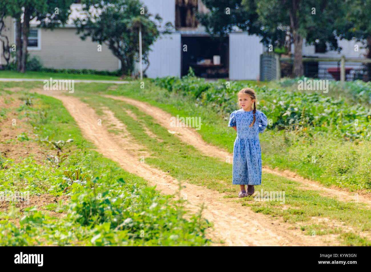 Amish girl hi-res stock photography and images - Alamy