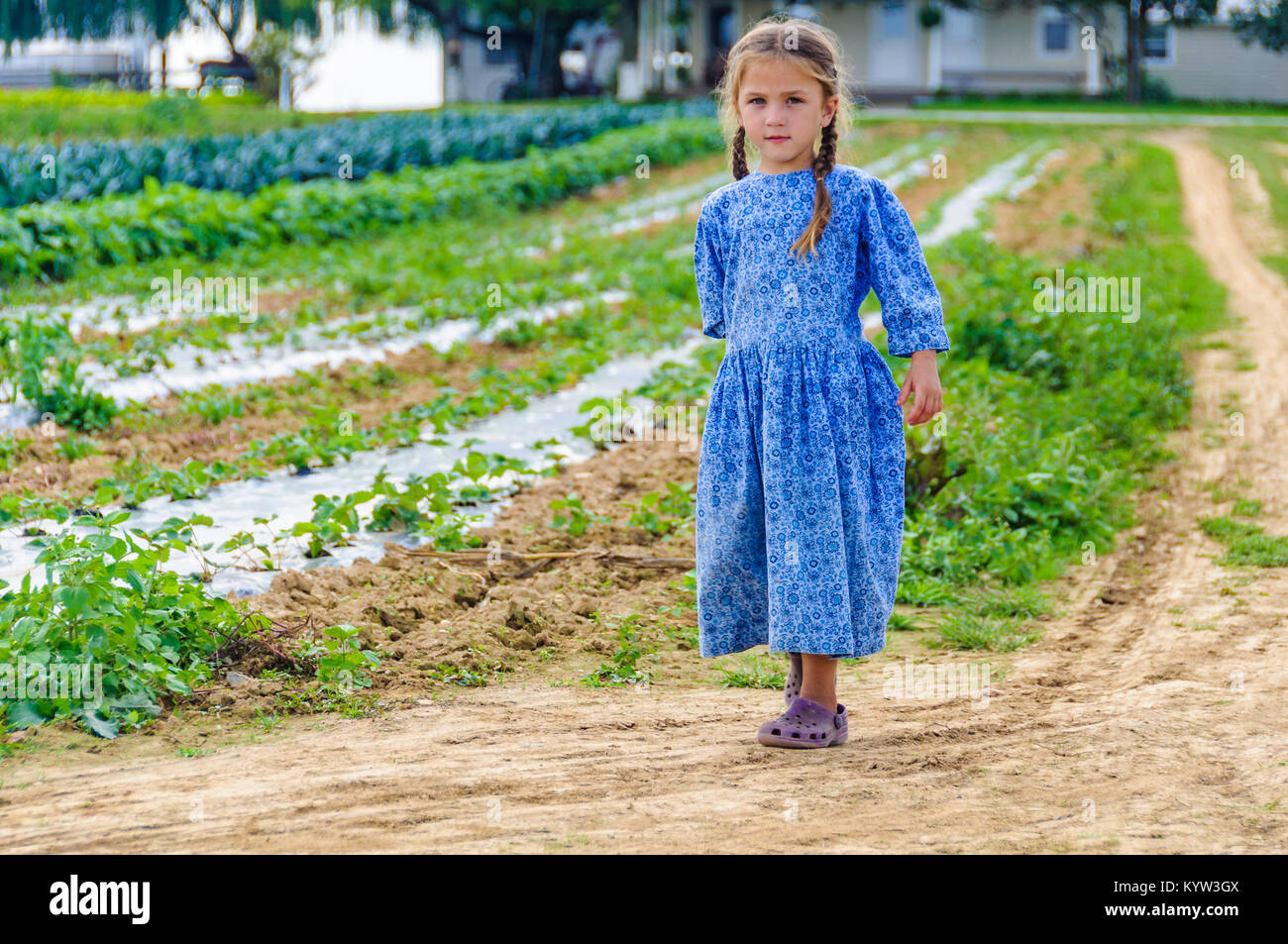 Amish Girls P
