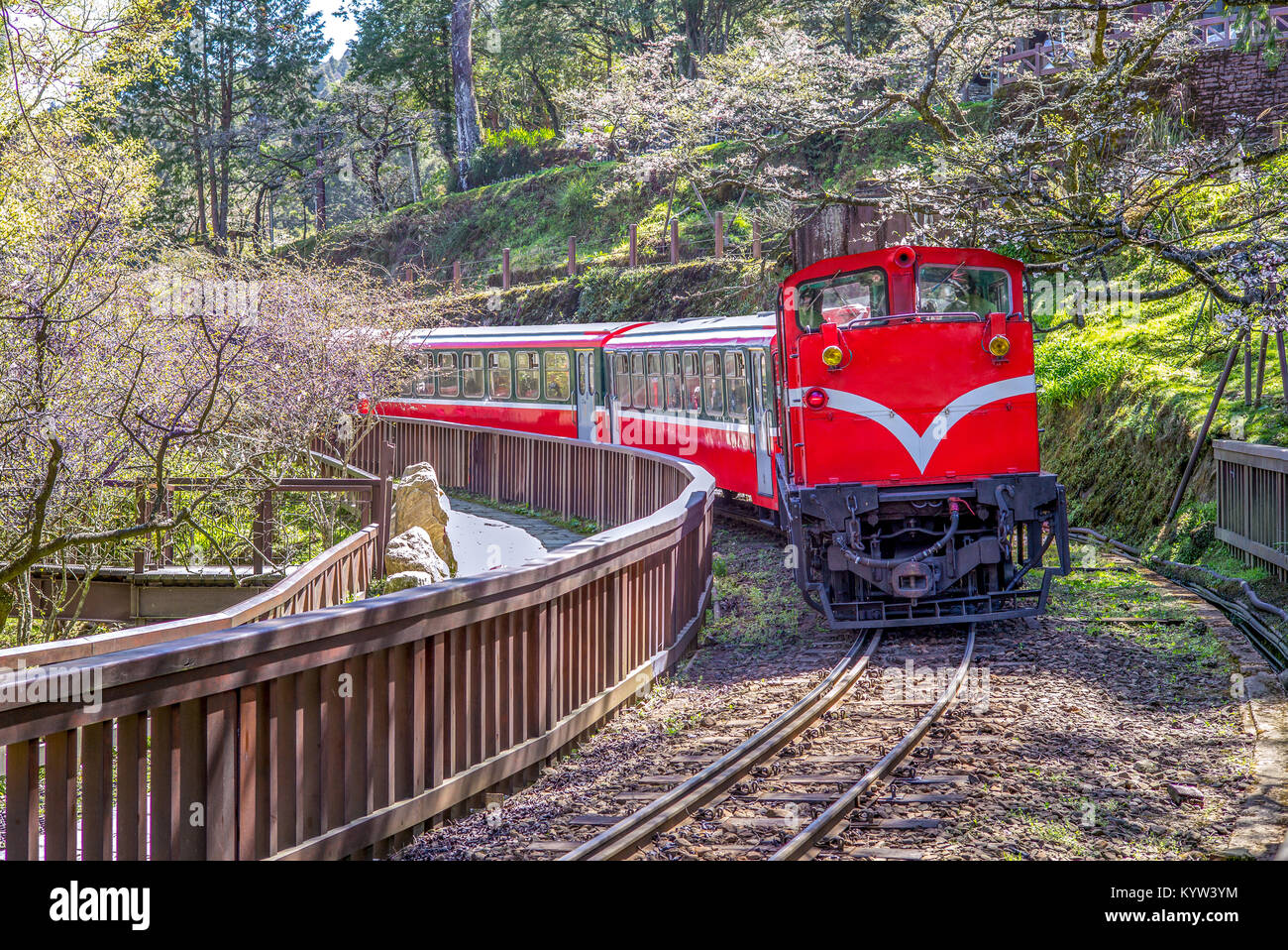 Alishan forest railway hi-res stock photography and images - Alamy