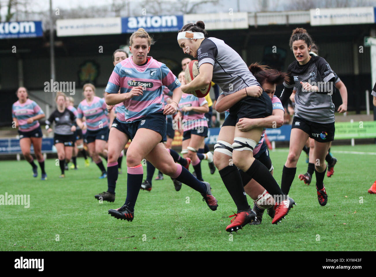 Osprey rugby player hi-res stock photography and images - Alamy