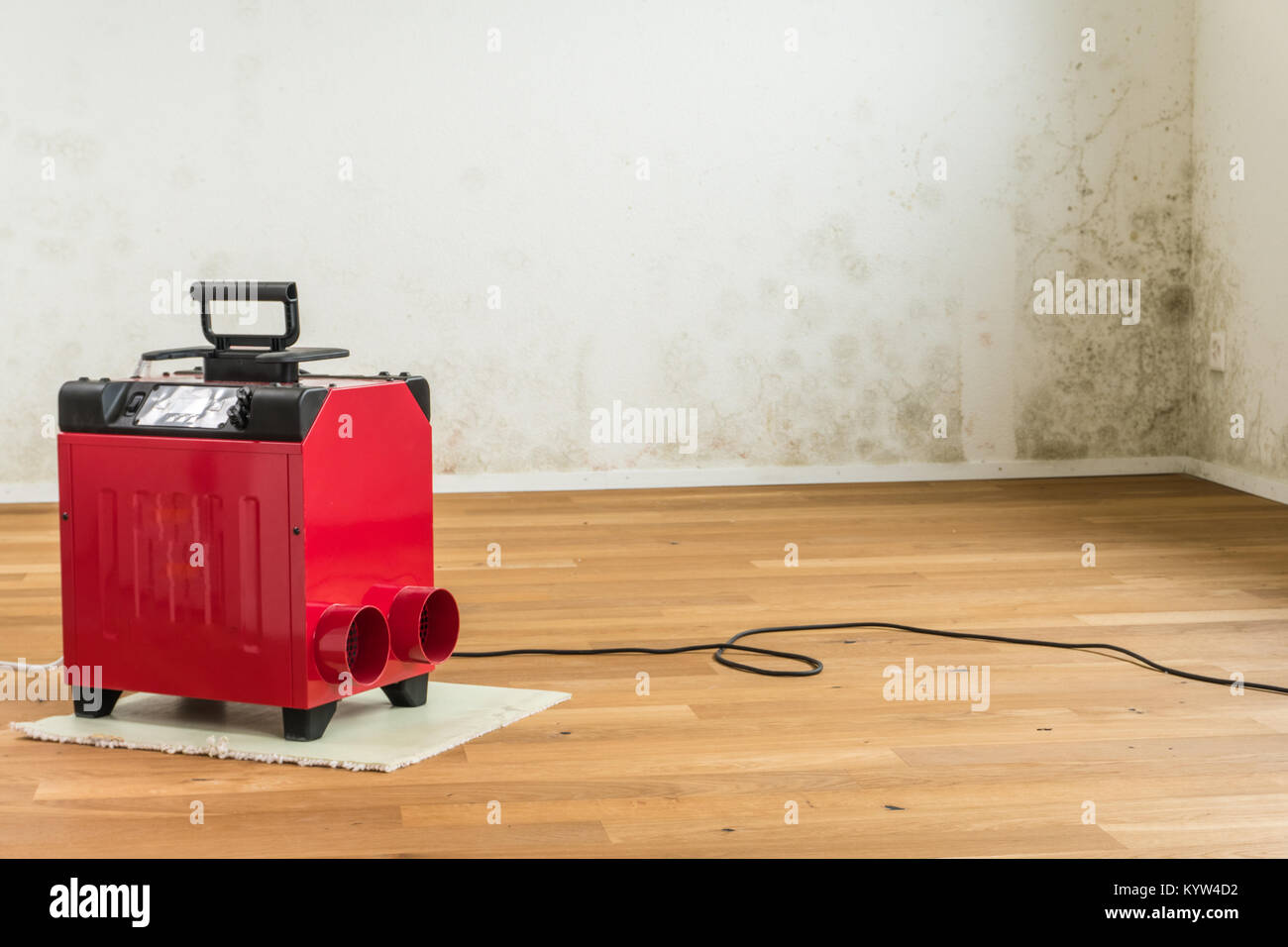 red dehumidifier in an empty apartment room with disgusting black ...