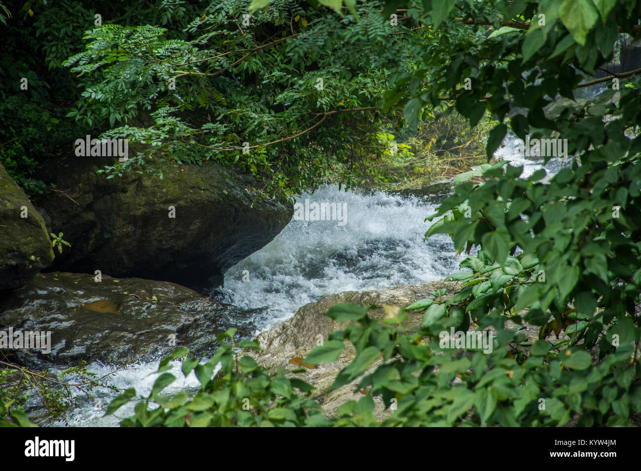 Beautiful view of forest waterfalls, located in Attappadi, Palakkad ...