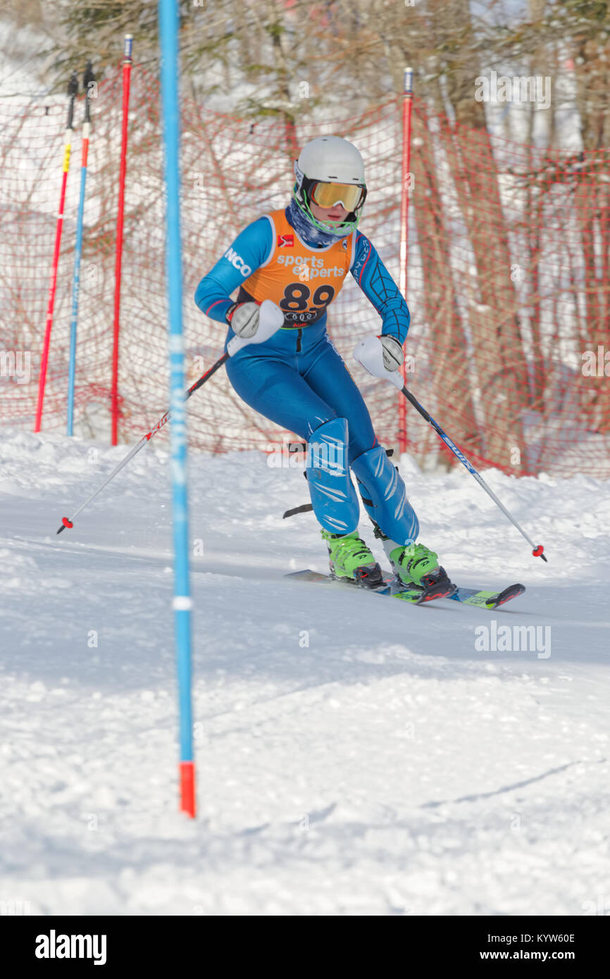 Ski slalom gates hi-res stock photography and images - Alamy