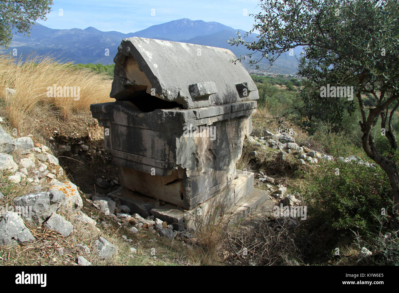 Old gray stone tomb and tree in Ksanthos, Turkey Stock Photo - Alamy