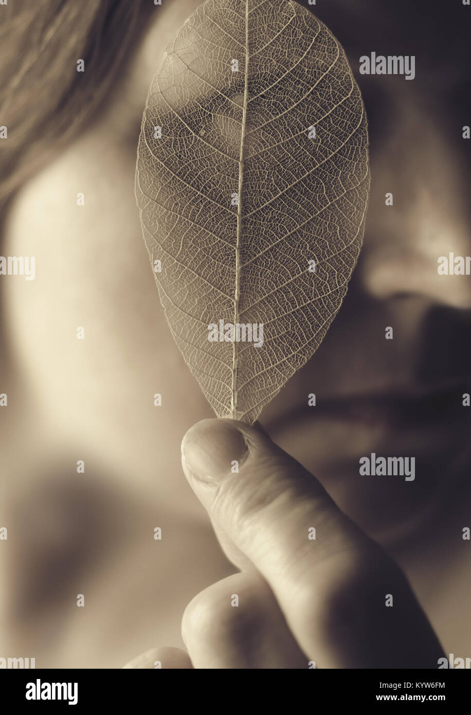 Leaf through book hi-res stock photography and images - Alamy