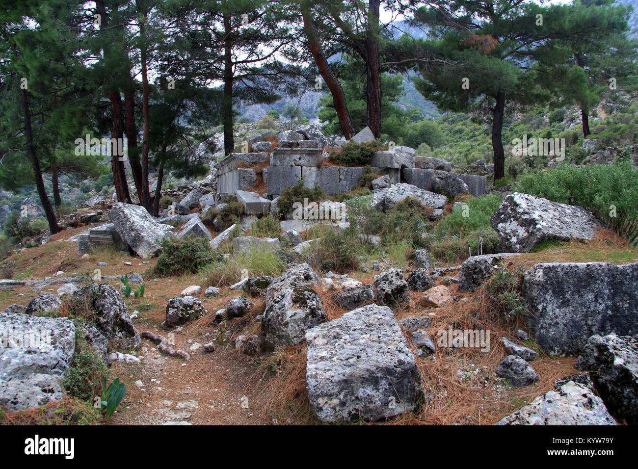 Pine trees and ruins in Pinara, Turkey Stock Photo - Alamy