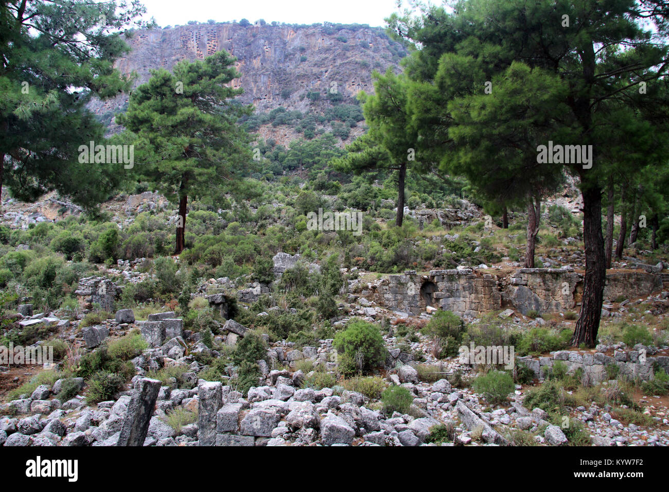 Pine trees and ruins of Pinara in Turkey Stock Photo - Alamy