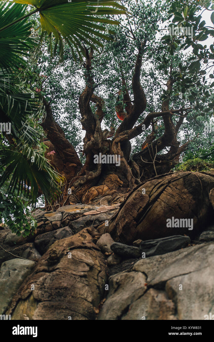 Disney World Resort Stock Photo - Alamy