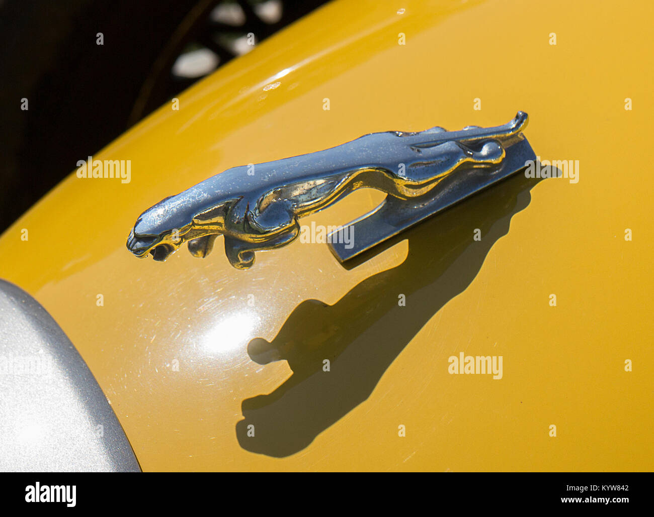 Car mascot hi-res stock photography and images - Alamy