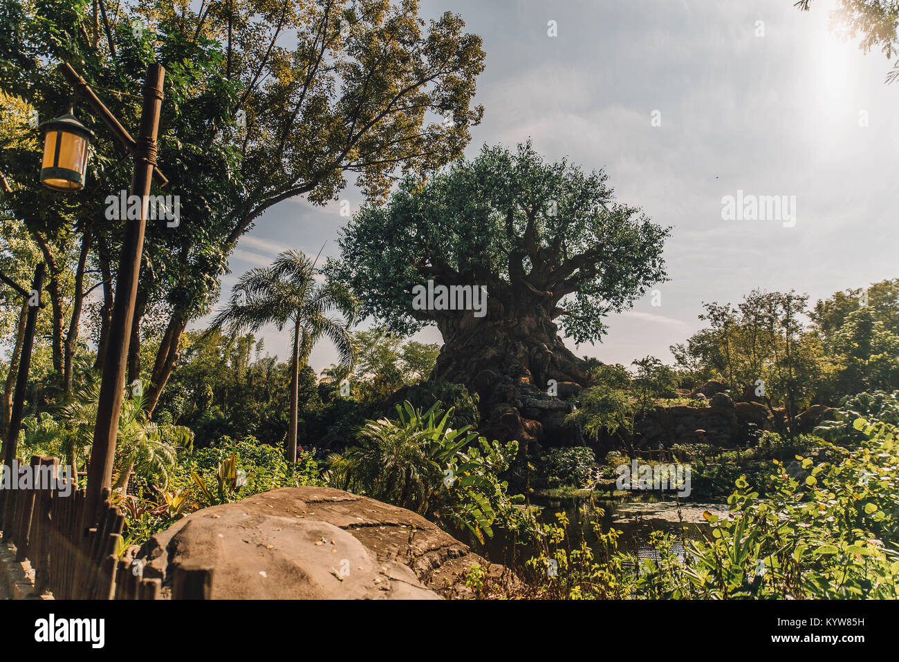 Disney World Resort Stock Photo - Alamy