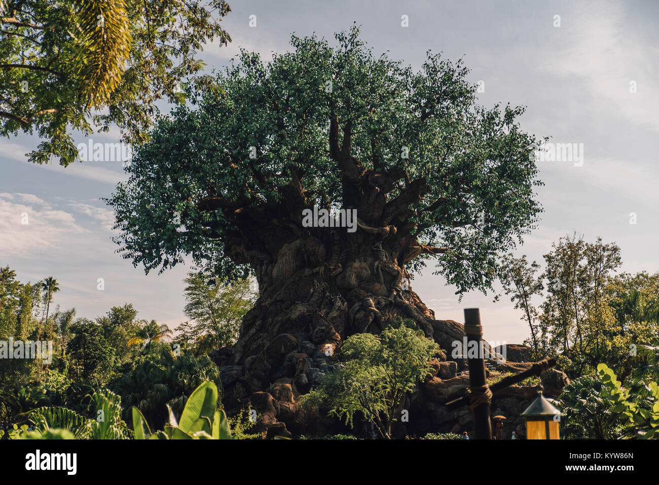 Disney World Resort Stock Photo - Alamy