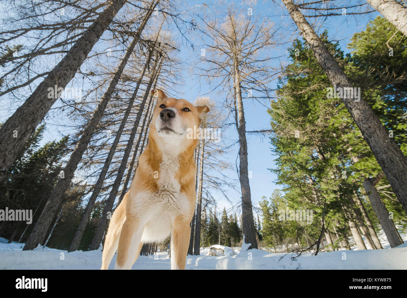 Hunter region hi-res stock photography and images - Alamy