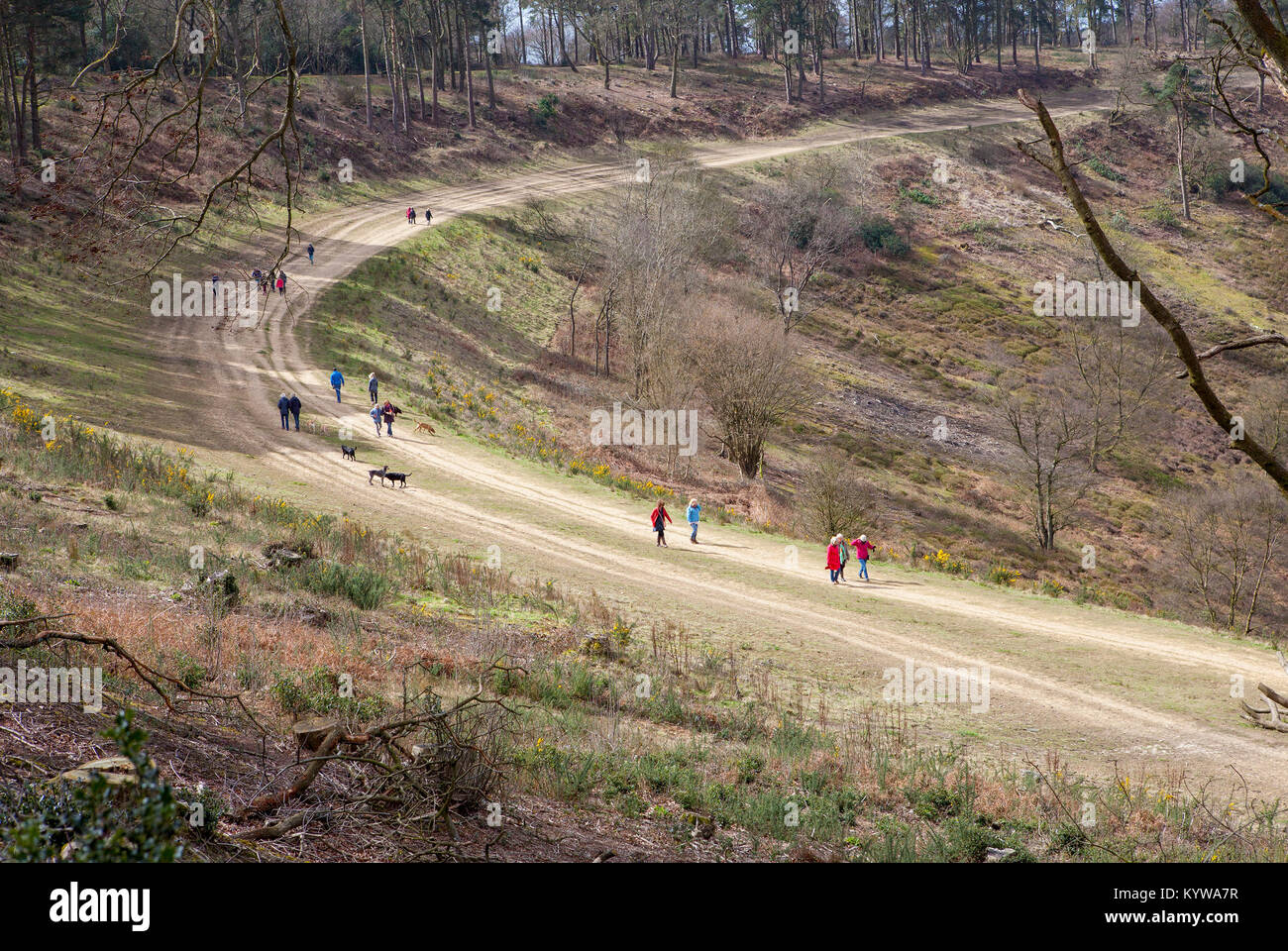 Route of the old A3 around the Devils Punchbowl at Hindhead, Surrey ...