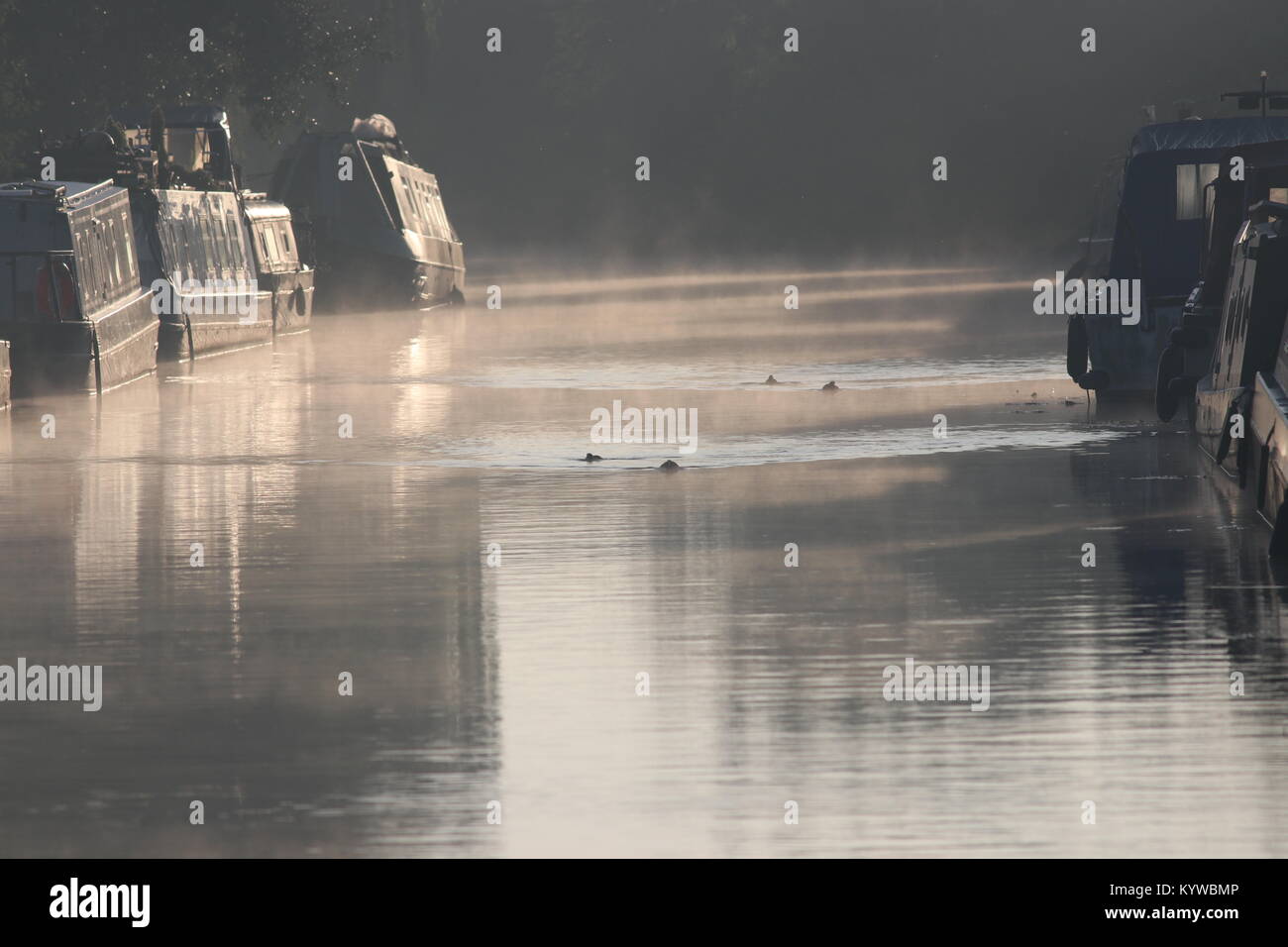 Early morning rising mist hi-res stock photography and images - Alamy