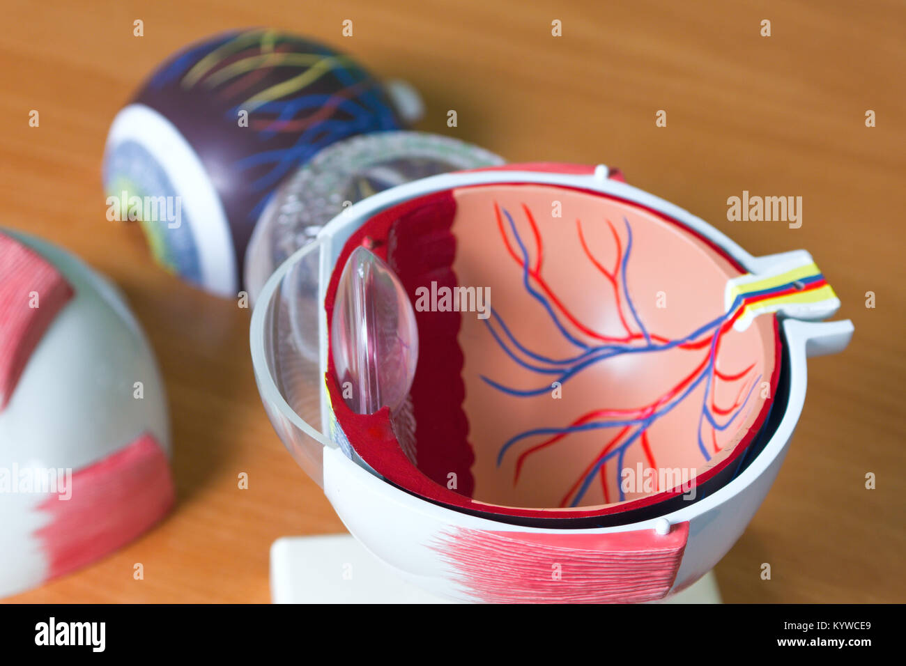 Ophthalmology oculus sample closeup Stock Photo - Alamy