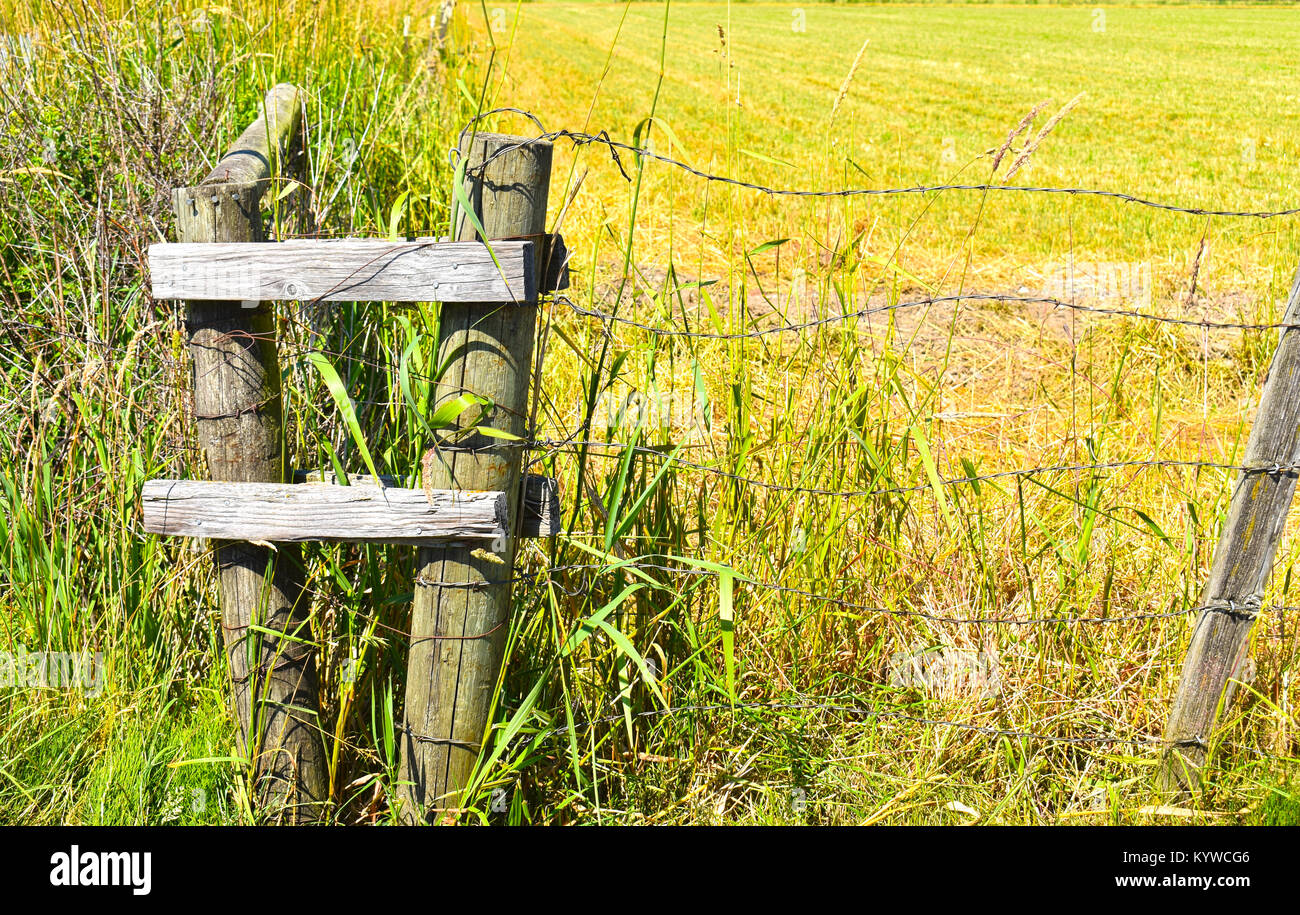 Barb wire fencing in front of an empty field. The wire is in focus from ...