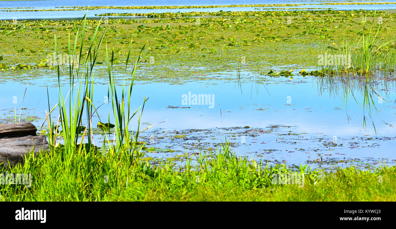 Calm serene waters of Lake Terrell in the beautiful Pacific Northwest ...