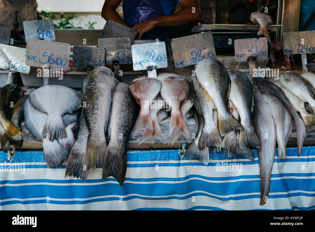 Rio fresh fish hi-res stock photography and images - Alamy
