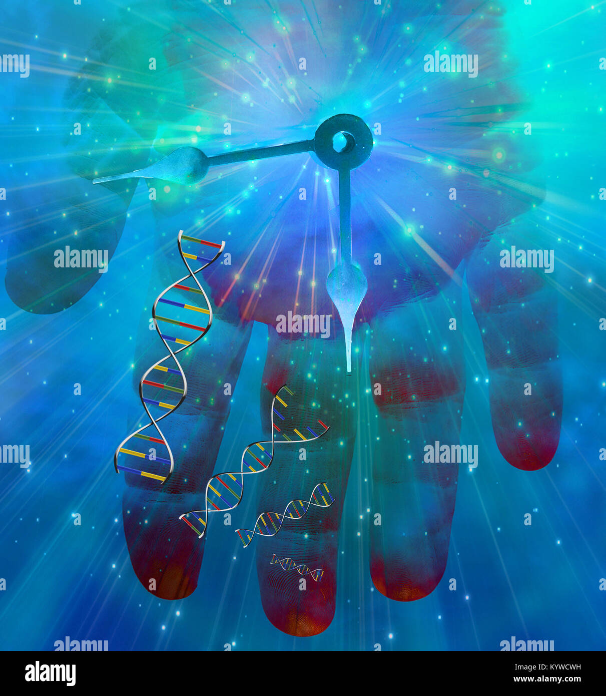 Molecular clock hi-res stock photography and images - Alamy