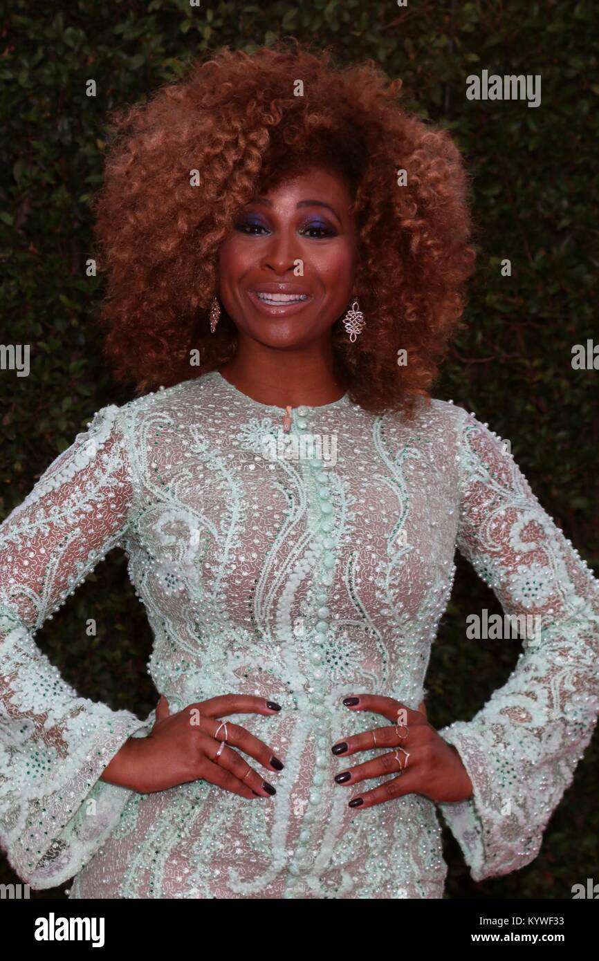 Pasadena, CA. 15th Jan, 2018. Tanika Ray at arrivals for 49th NAACP ...