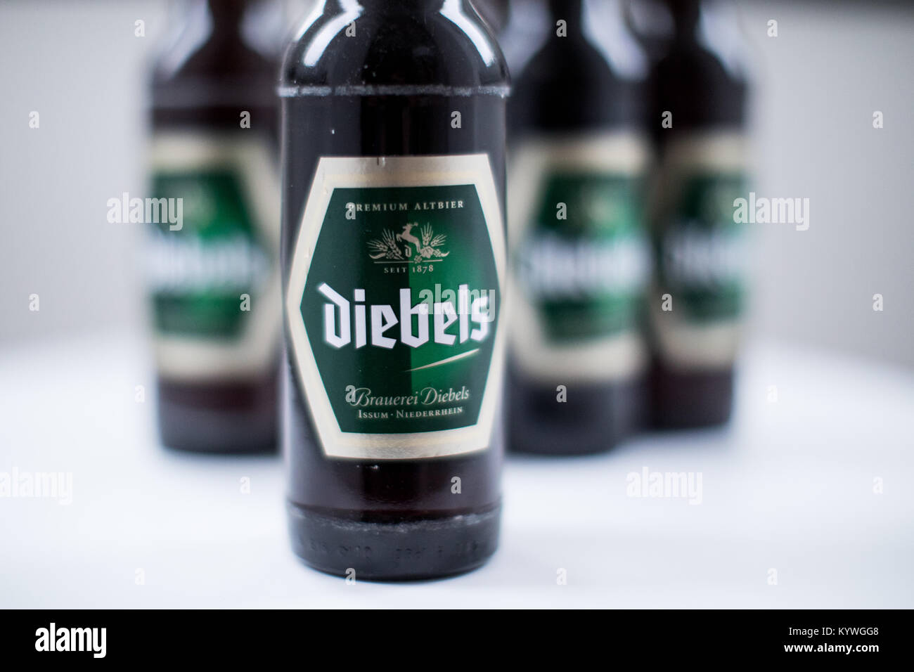 Diebels Logo Bolten