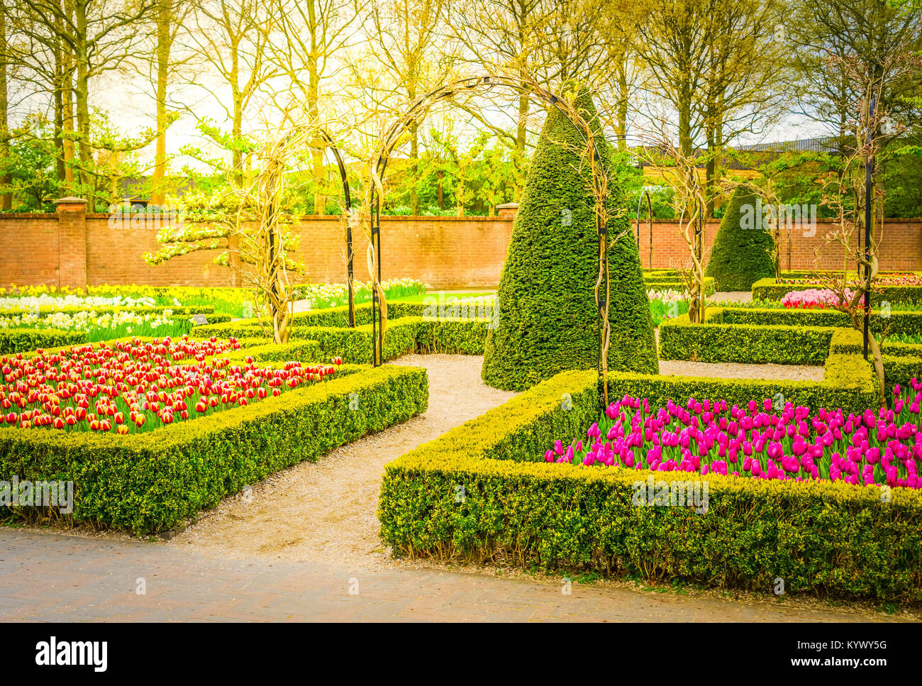 Spring flowers flowerbed Stock Photo - Alamy