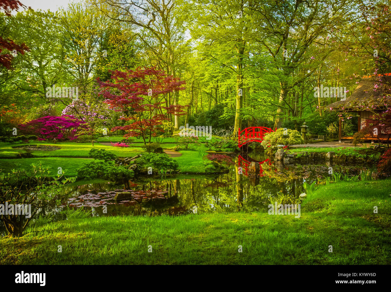 Japanese garden in spring Stock Photo - Alamy