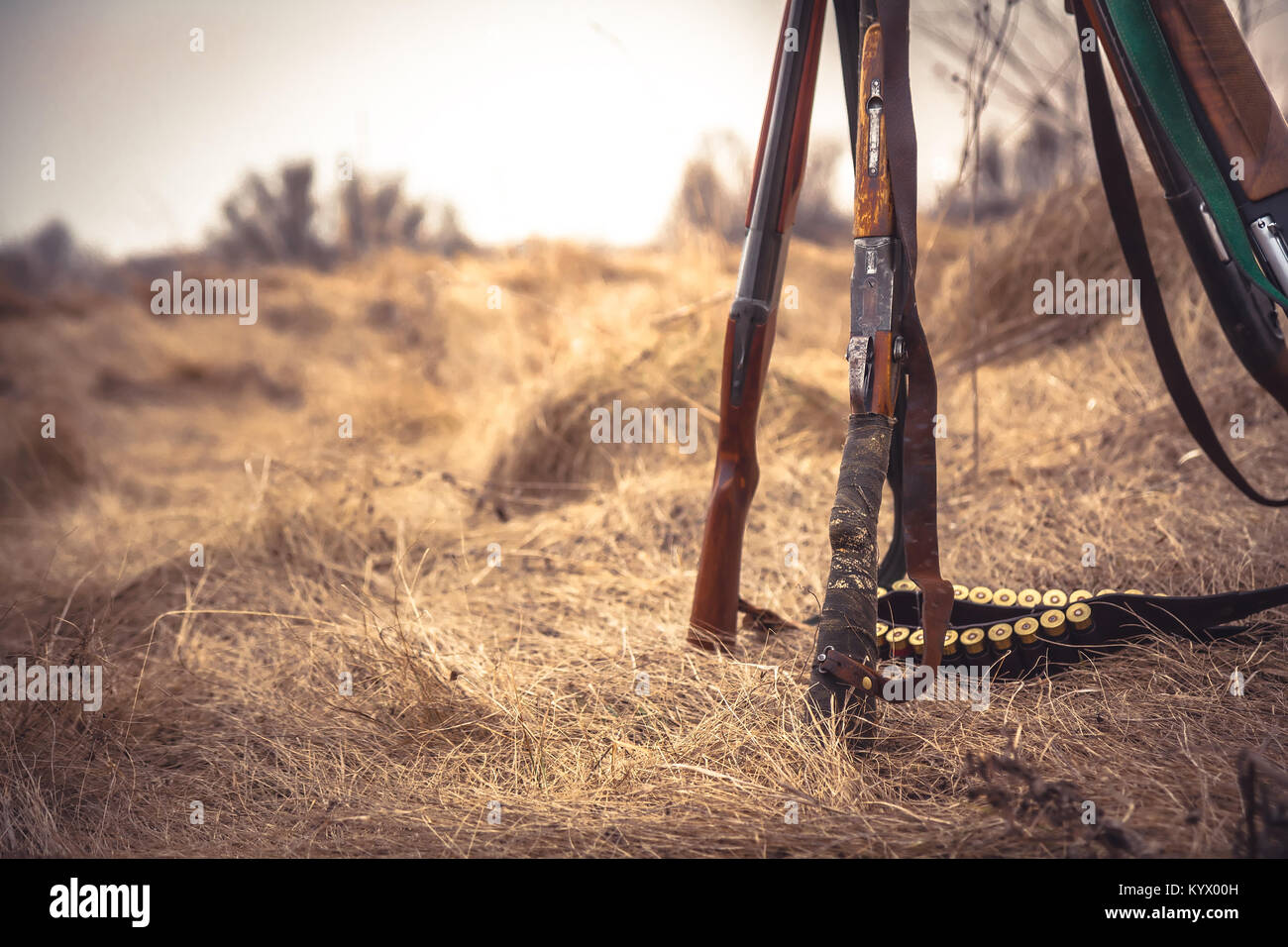 Hunting scene in wild west with hunting shotguns and ammunition belt on ...