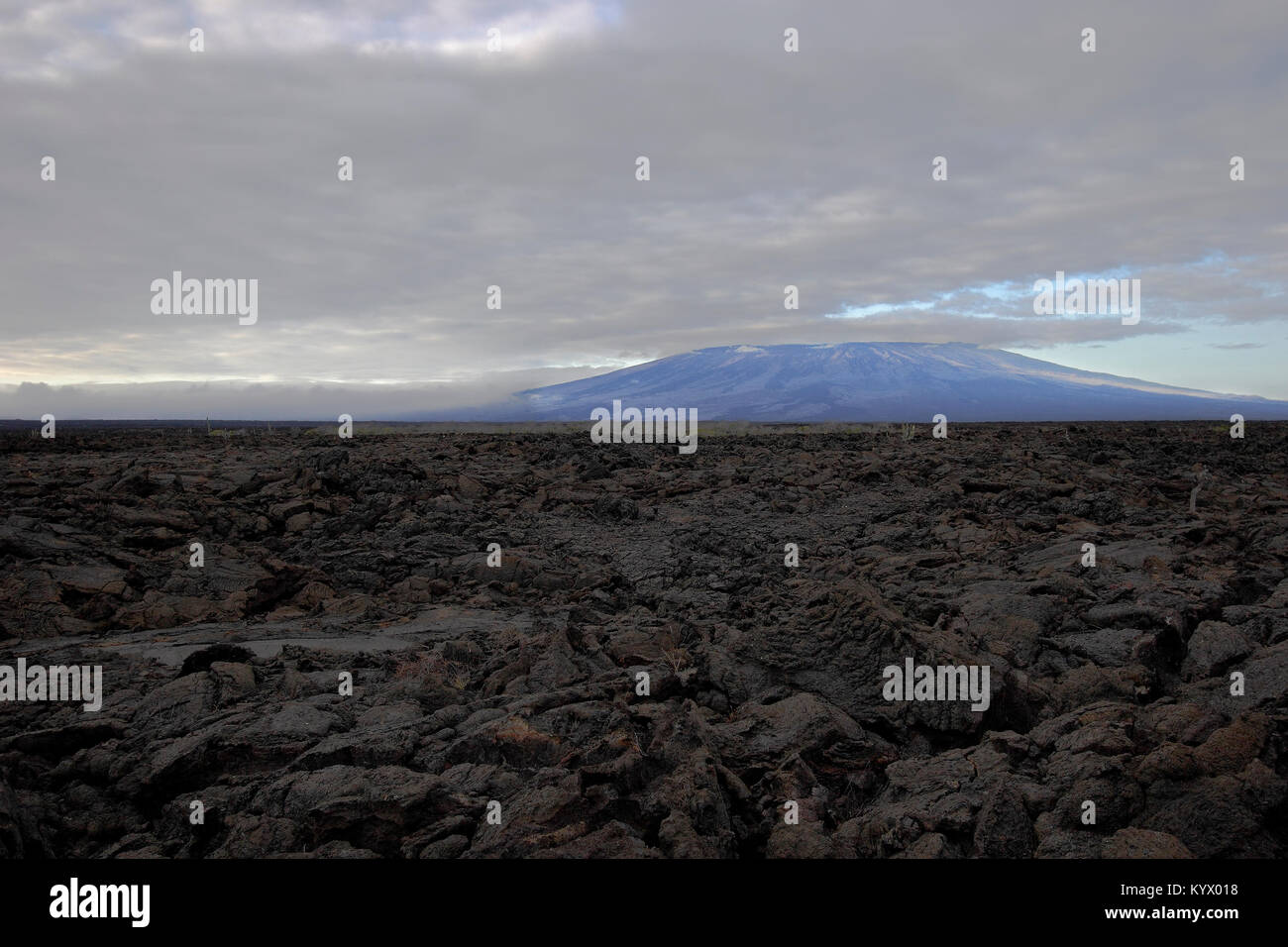 Lava rock landscape, Punta Moreno, Isabela island, Galapagos Islands ...