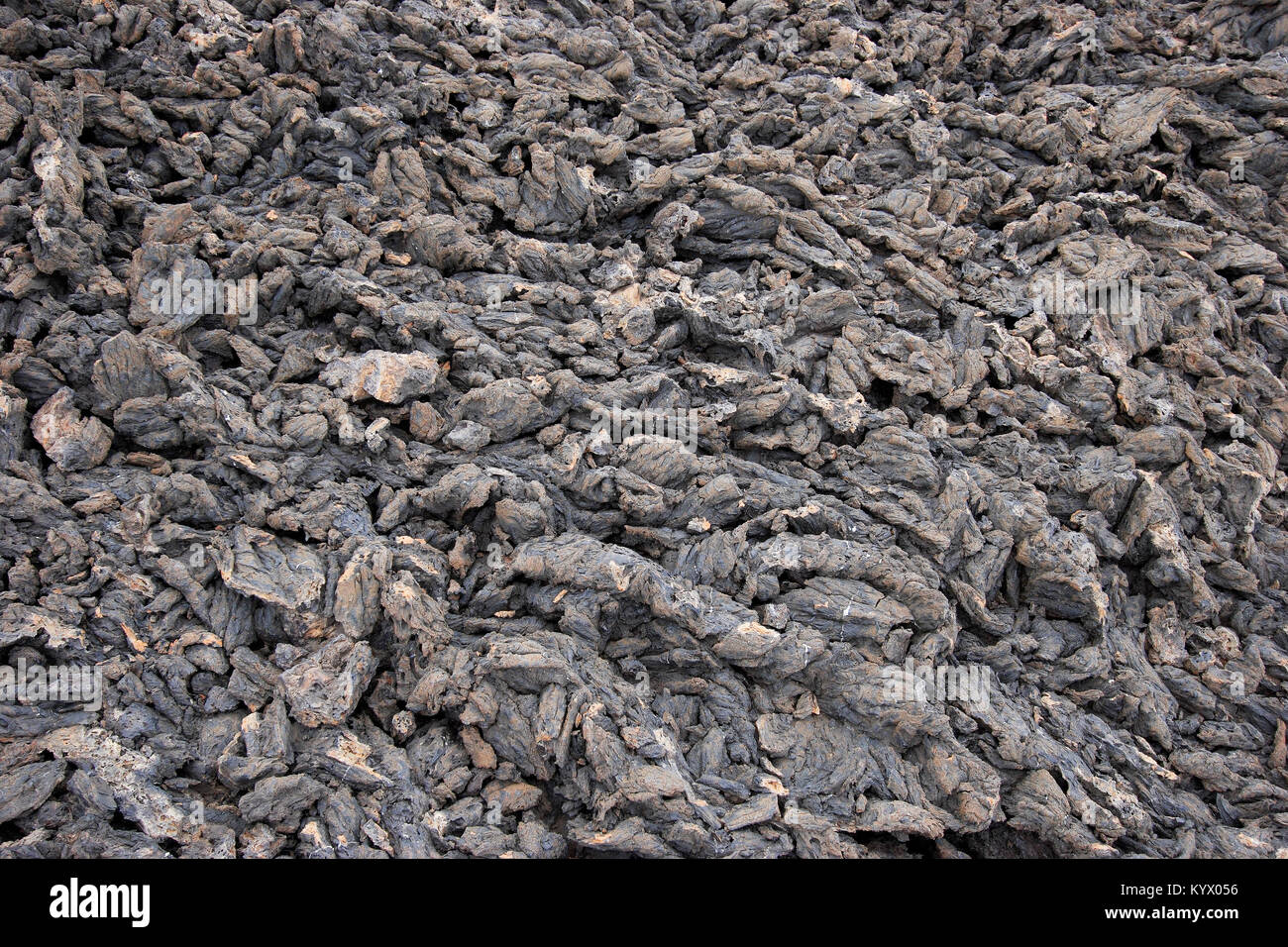 Pahoehoe lava, Punta Moreno, Isabela, Galapagos Islands, Ecuador Stock ...