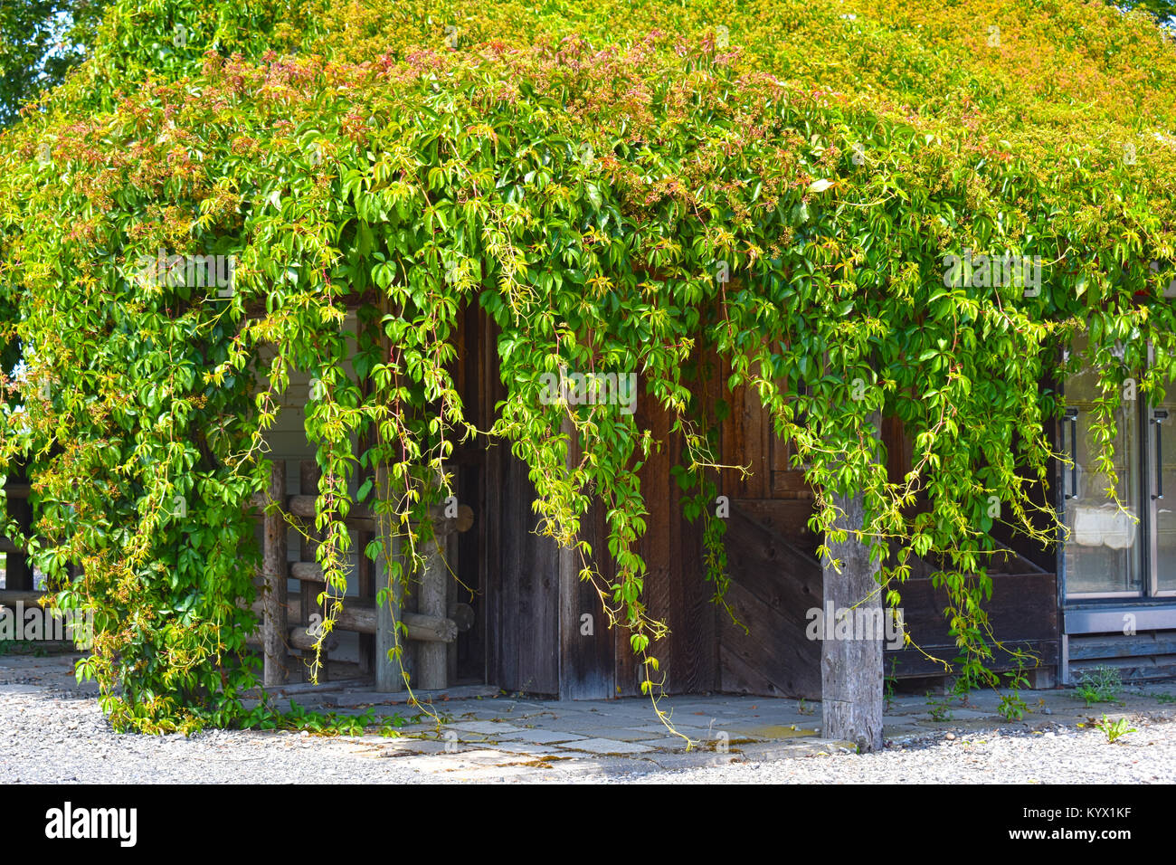 Overgrowth gardens hi-res stock photography and images - Alamy