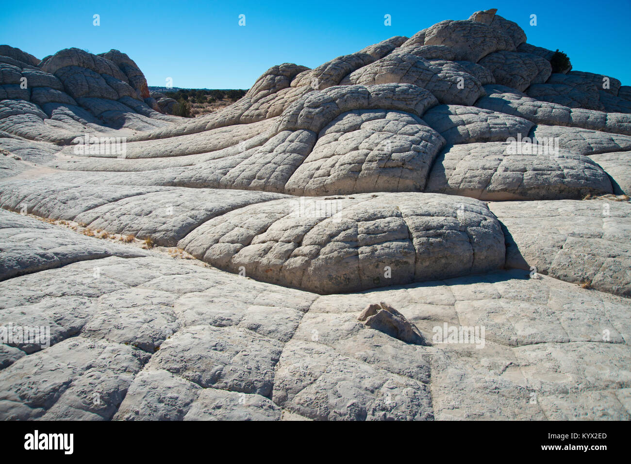 Lizard Skin Rock Stock Photo - Alamy