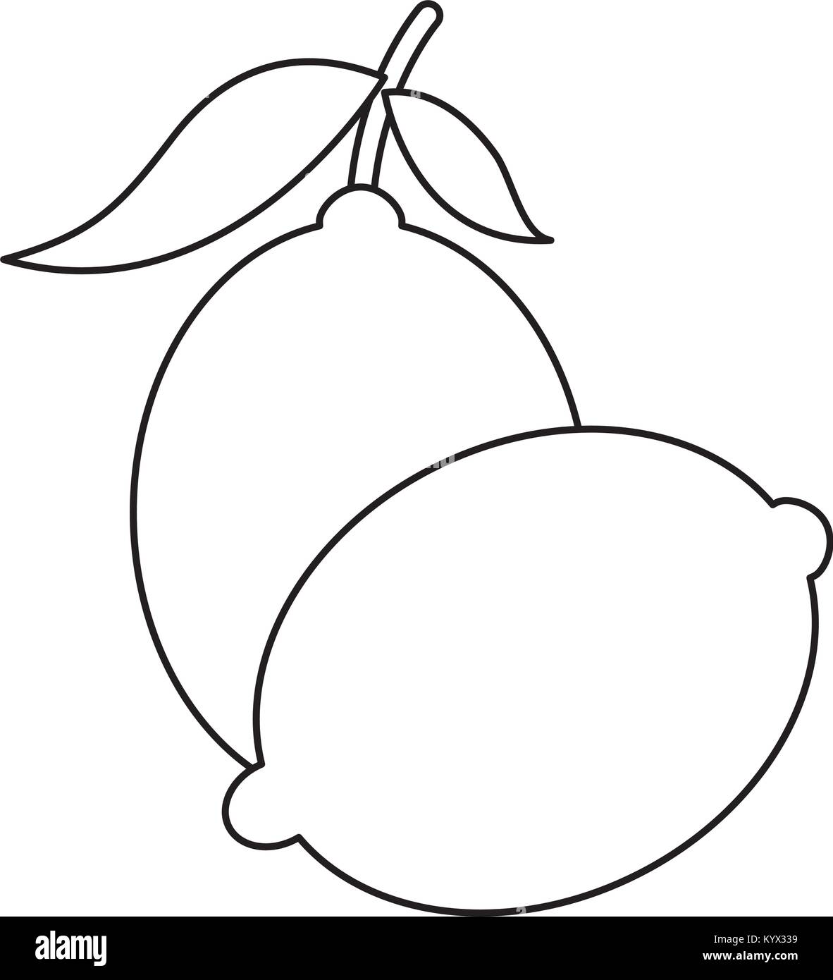 Lemon juice cartoon illustration Black and White Stock Photos & Images ...