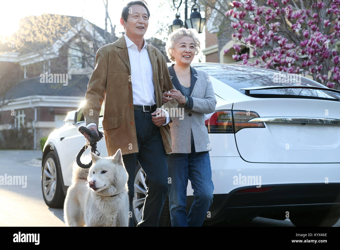 Elderly couples walk dogs outdoors Stock Photo - Alamy