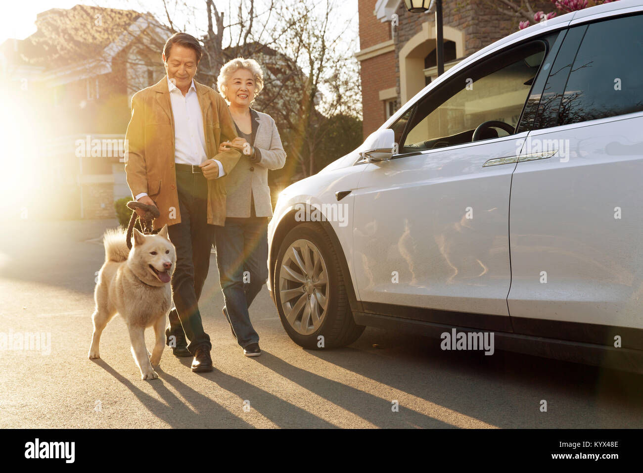 Elderly couples walk dogs outdoors Stock Photo - Alamy