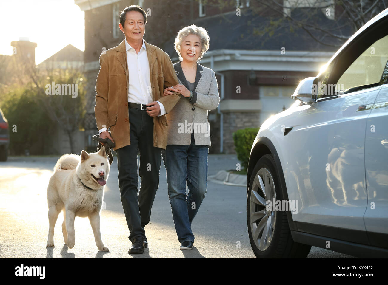 Elderly couples walk dogs outdoors Stock Photo - Alamy