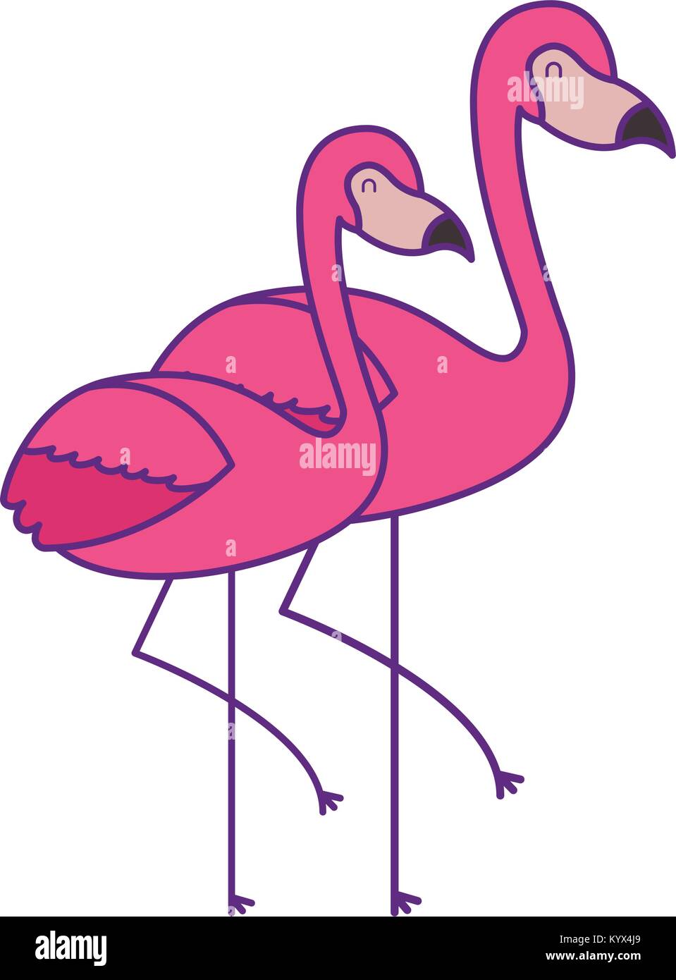 two pink flamingo bird exotic image Stock Vector Image & Art - Alamy