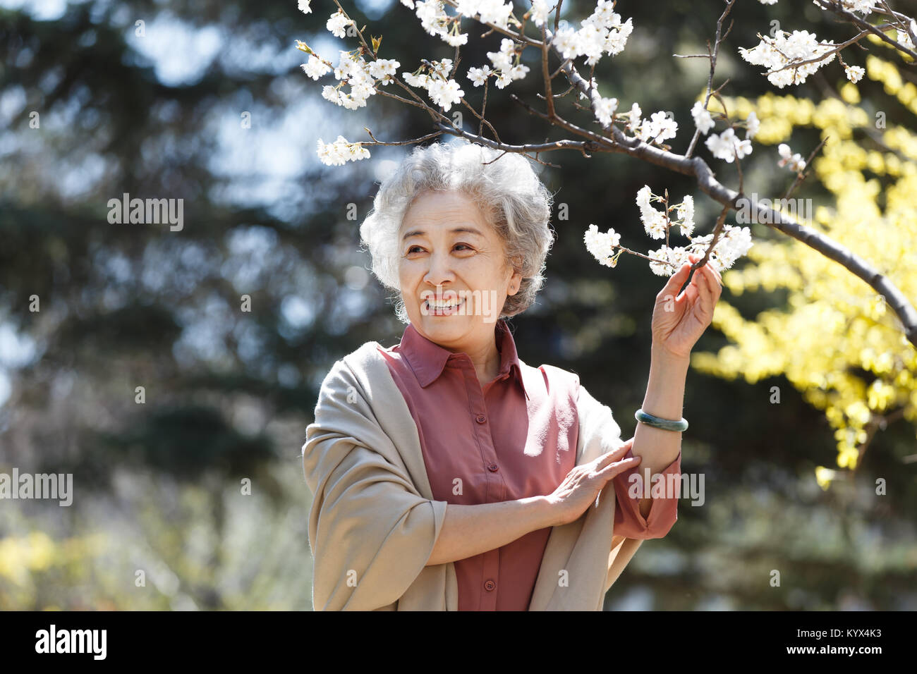The graceful old woman stands under the peach tree Stock Photo - Alamy