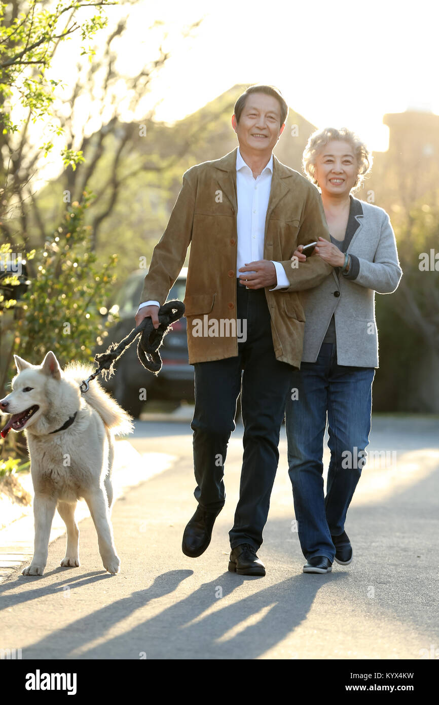 Elderly couples walk dogs outdoors Stock Photo - Alamy