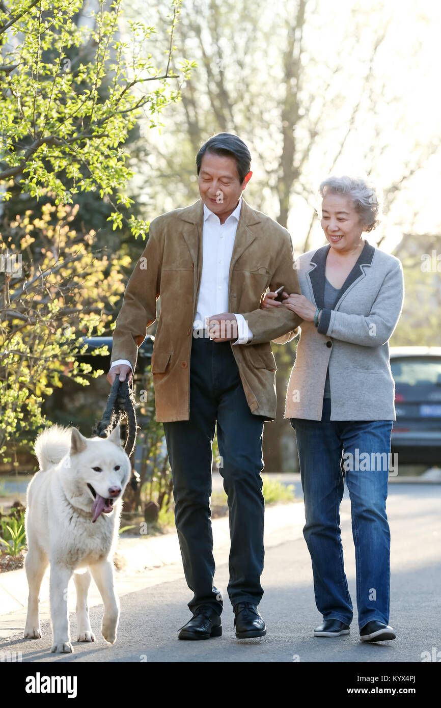 Elderly couples walk dogs outdoors Stock Photo - Alamy
