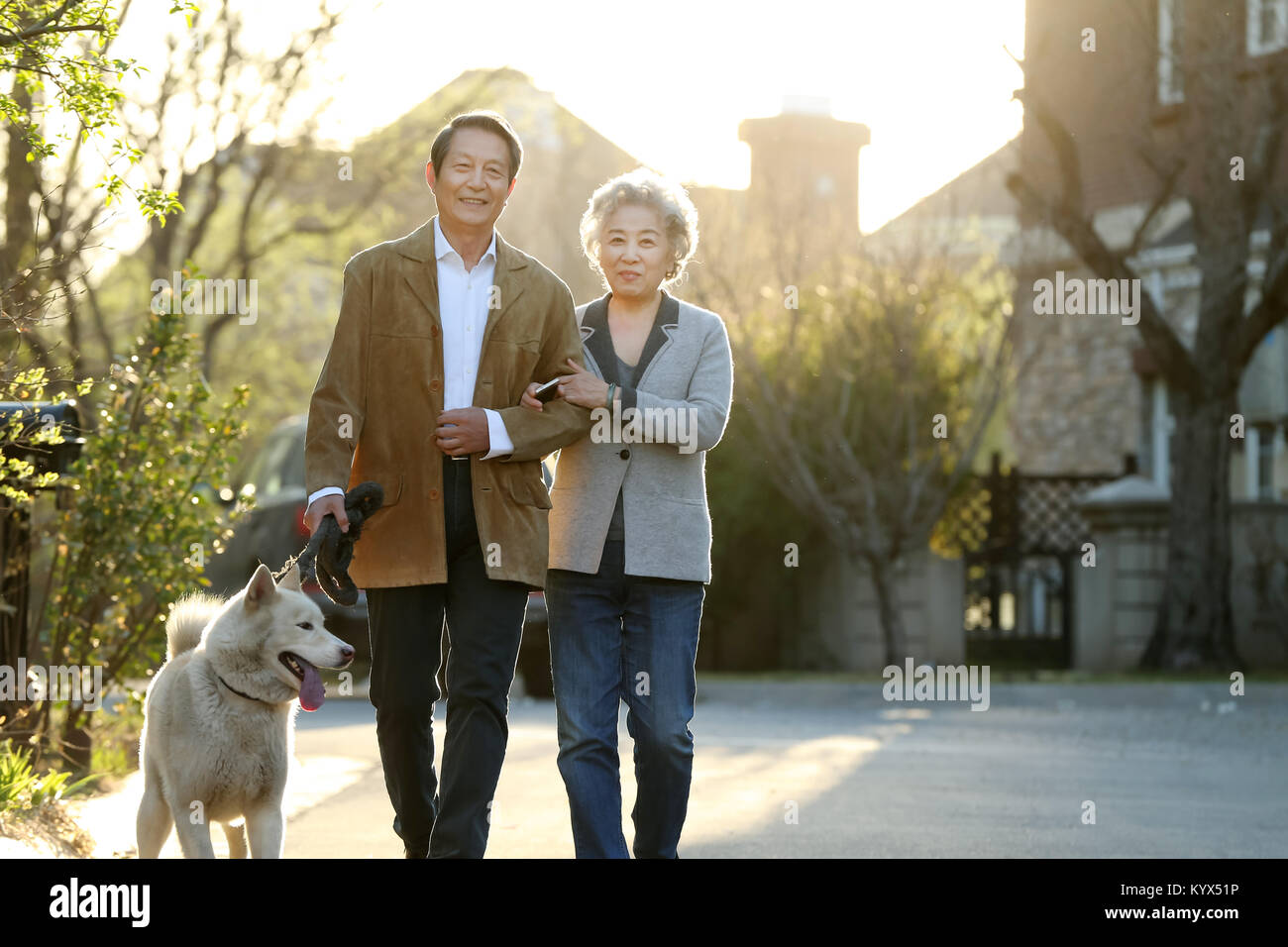 Elderly couples walk dogs outdoors Stock Photo - Alamy