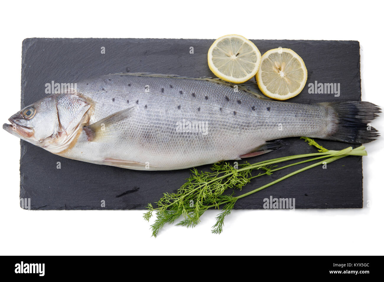 Good perch hi-res stock photography and images - Alamy